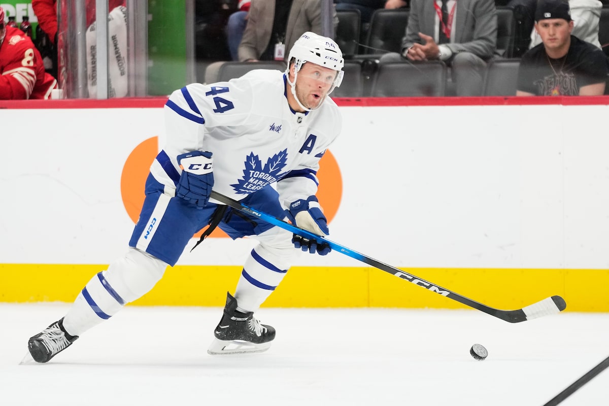 Les Red Wings battent les Maple Leafs 6-3 après deux buts de Raymond